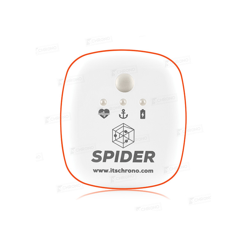 Spider TAG from ITS Chrono - ITS Chrono